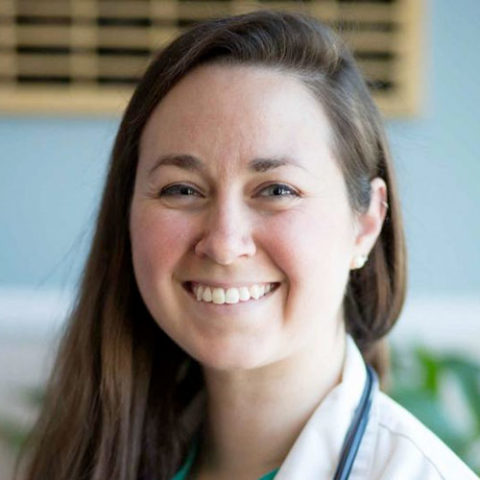 Best Veterinary Hospital In Rutland, VT 05701