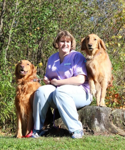 Veterinarian In Rutland, VT 05701 | RVCSC
