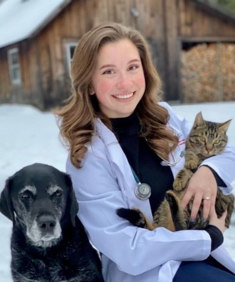 Veterinarian In Rutland, VT 05701 | RVCSC