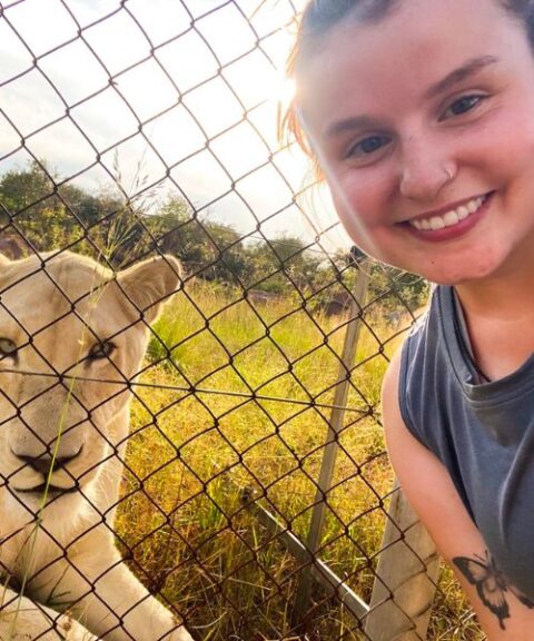 Veterinarian In Rutland, VT 05701 | RVCSC